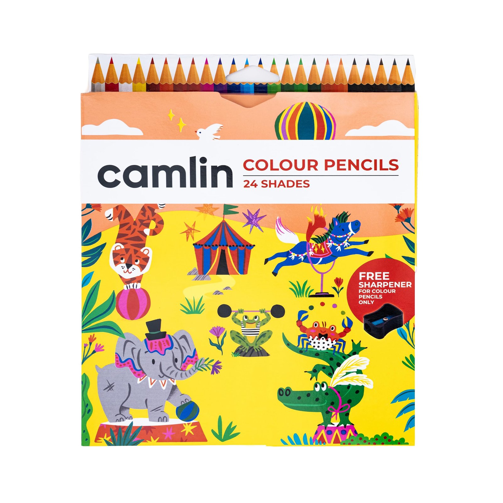 Camlin Colour Pencils 24 Shades - Top In Town Hypermarket